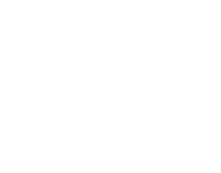 Chipwich | Girl Scout Thin Mints™